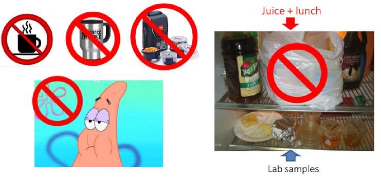 OLSEH – IISc Bangalore